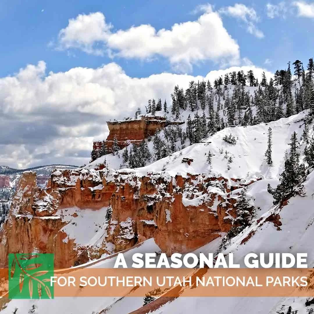 A Seasonal Guide for Visiting Southern Utah's National Parks ...