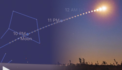 Free Tutorials for PlanIt! for Photographers — Mike Shaw Photography