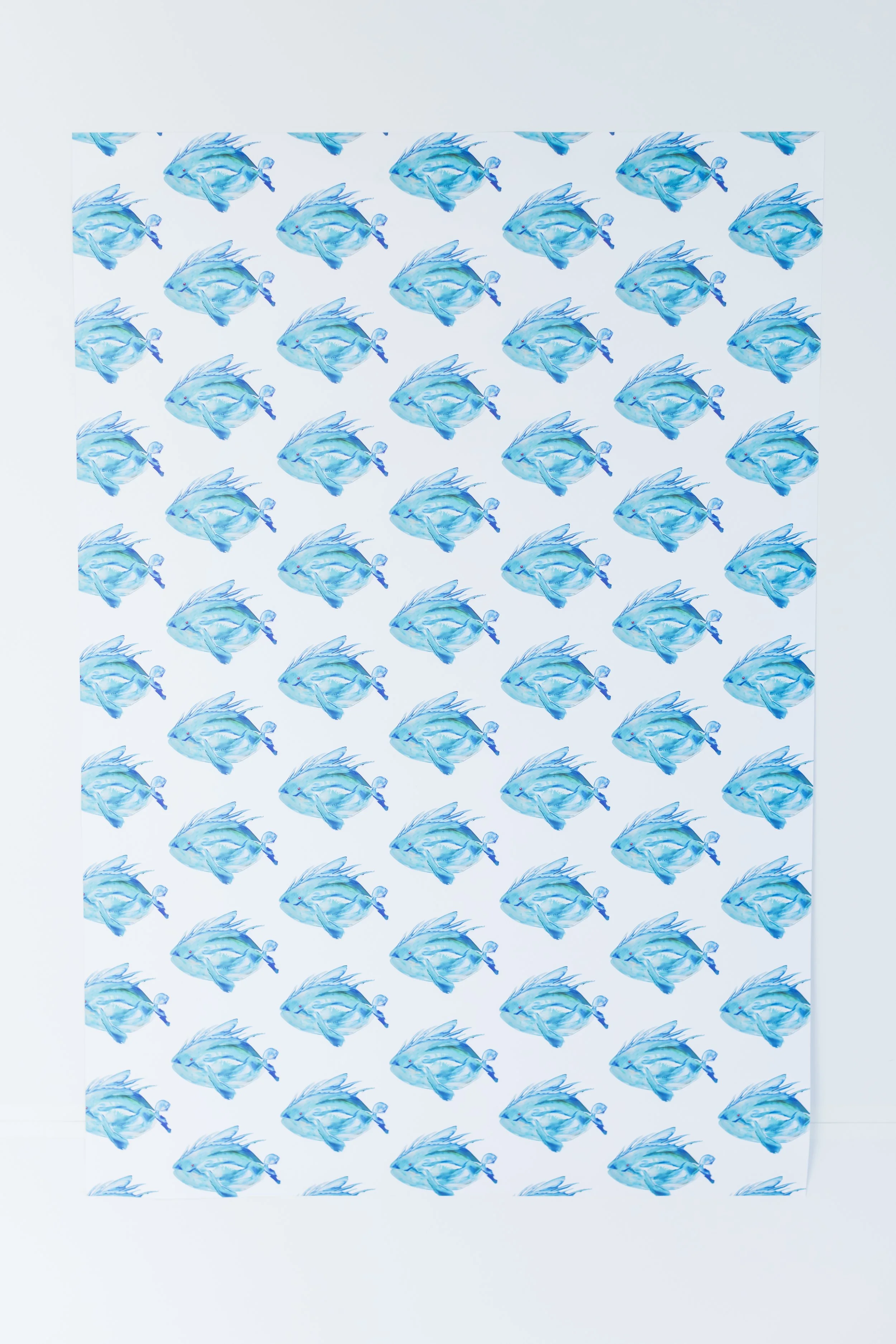 Shop — shinglefish