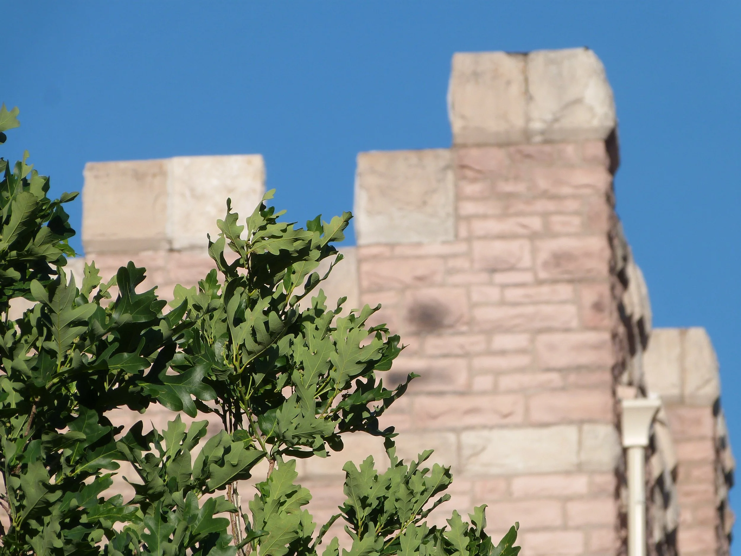 St. John's Episcopal Church, Boulder, CO