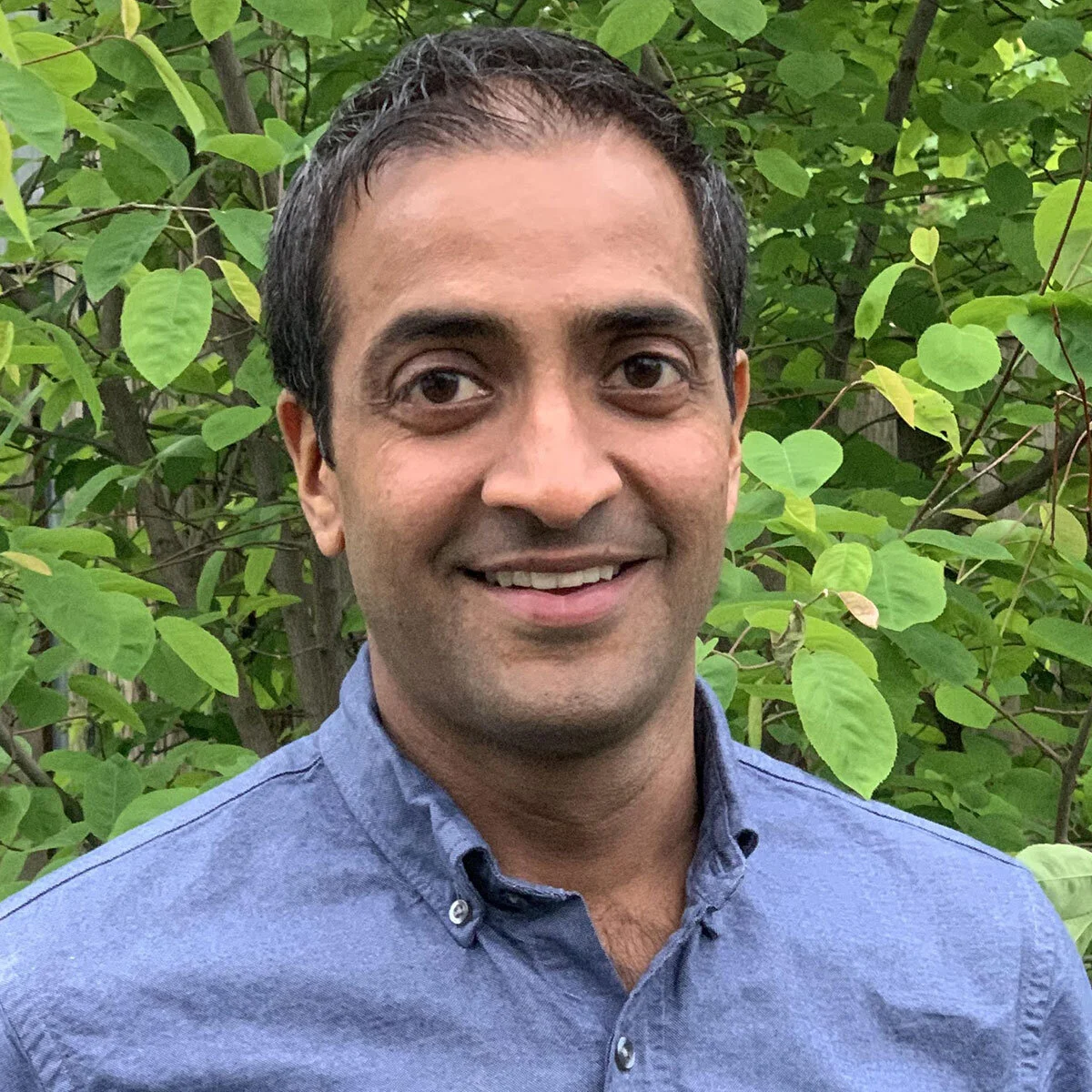 Executive Director and Board — KOPI