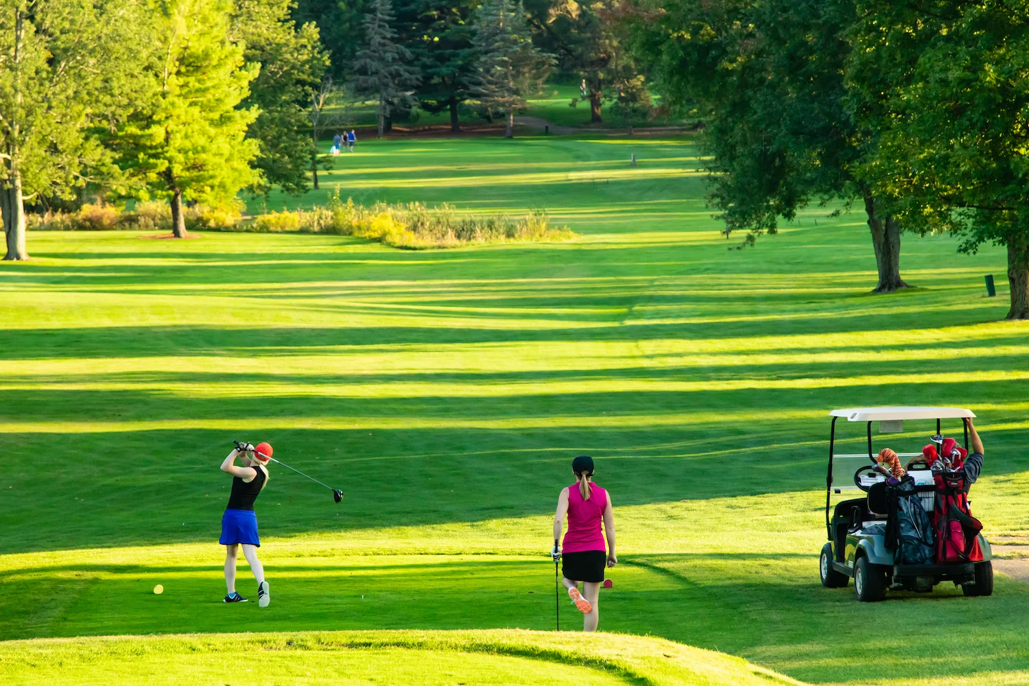 Grand Rapids Womens Golf Association