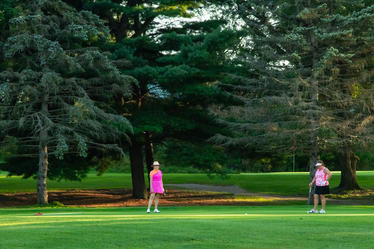 Grand Rapids Womens Golf Association