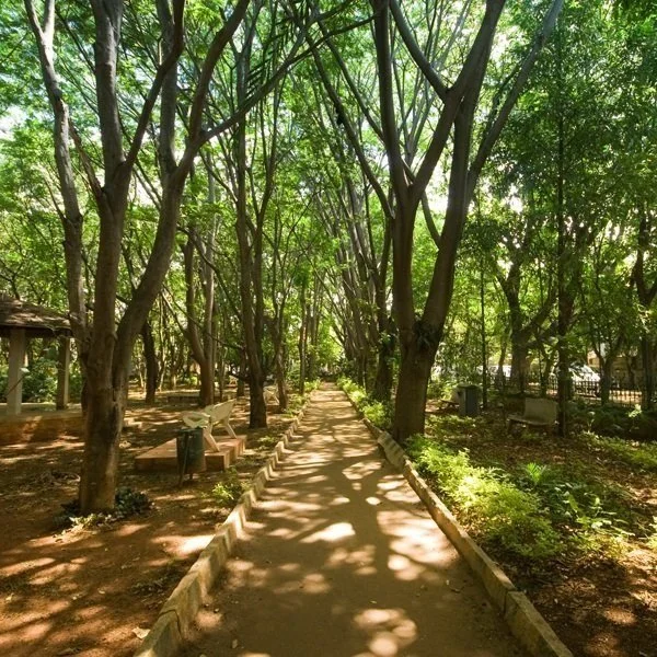 First Peoples India-Australia Exchange — Varuna, The National Writers ...