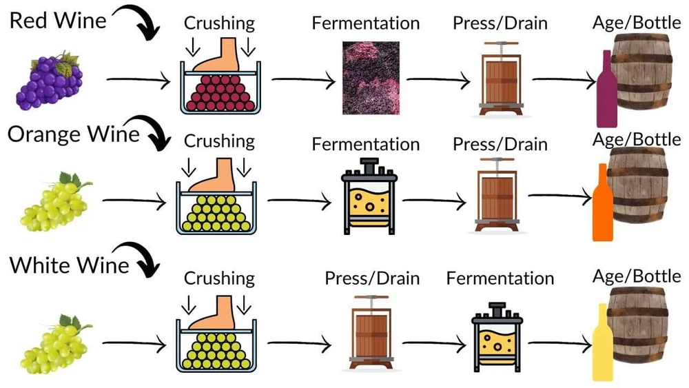 Explore Orange Wine: Skin Contact Wine & Natural Winemaking — Vero