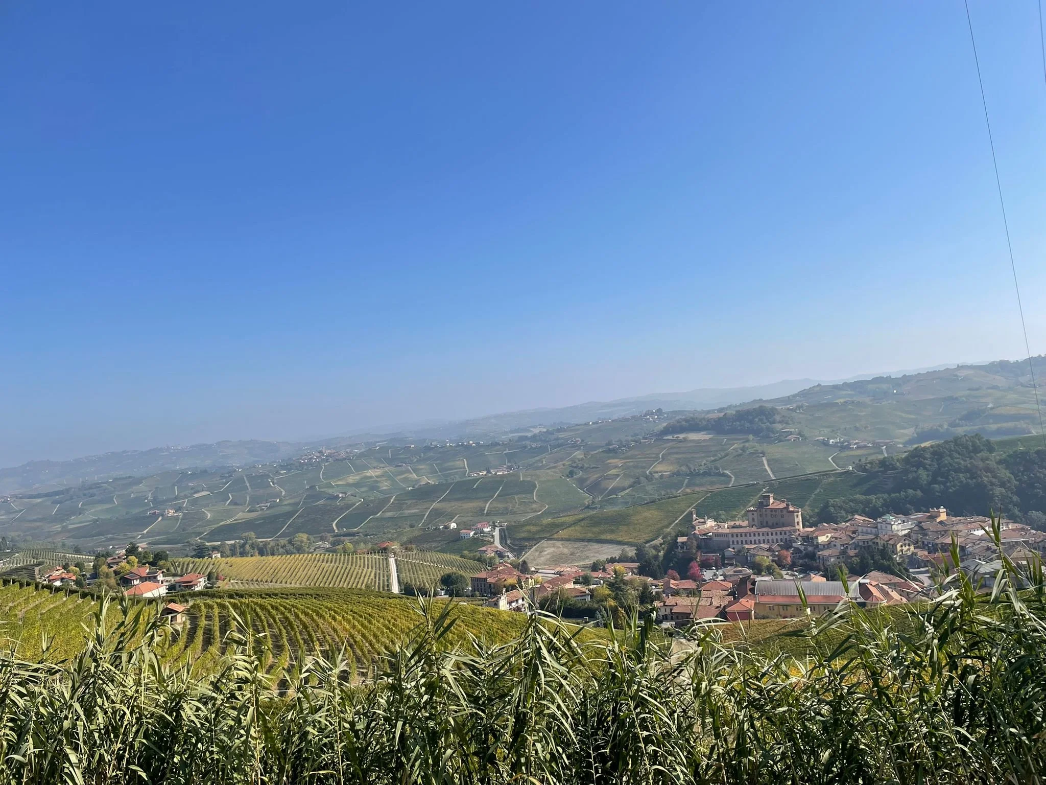Exploring Barolo Wine with a Local Expert — Vero