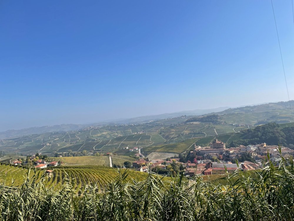 Exploring Barolo Wine with a Local Expert — Vero