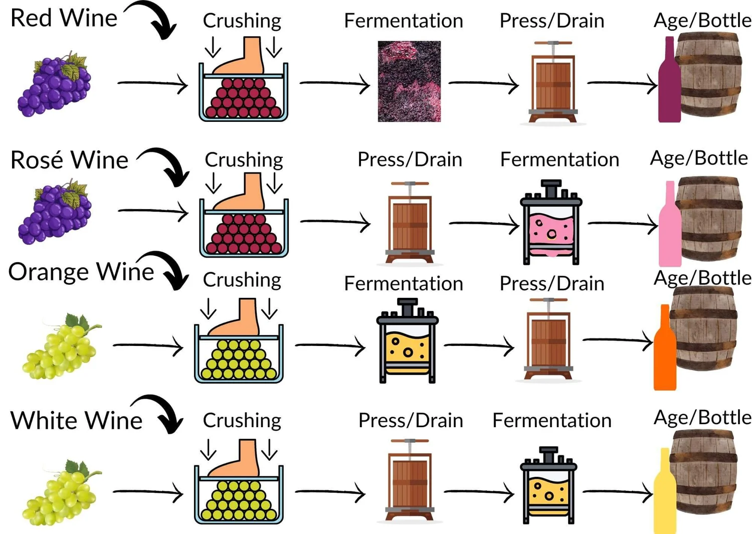 Unraveling the Mystery: How Wine Gets Its Color — Vero