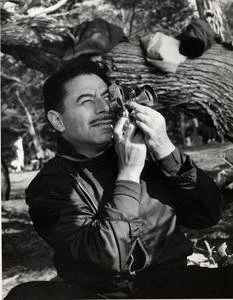 The Story Behind Sam Shaw’s Iconic 1954 Photo of Marilyn Monroe — ANGEL ...