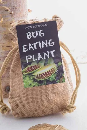 27 Eco-Friendly Stocking Fillers On A Budget in 2024 — Sustainably Lazy