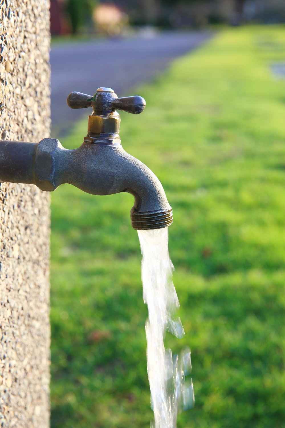 25 Simple Ways To Reduce Water Consumption In Your Home + Garden ...