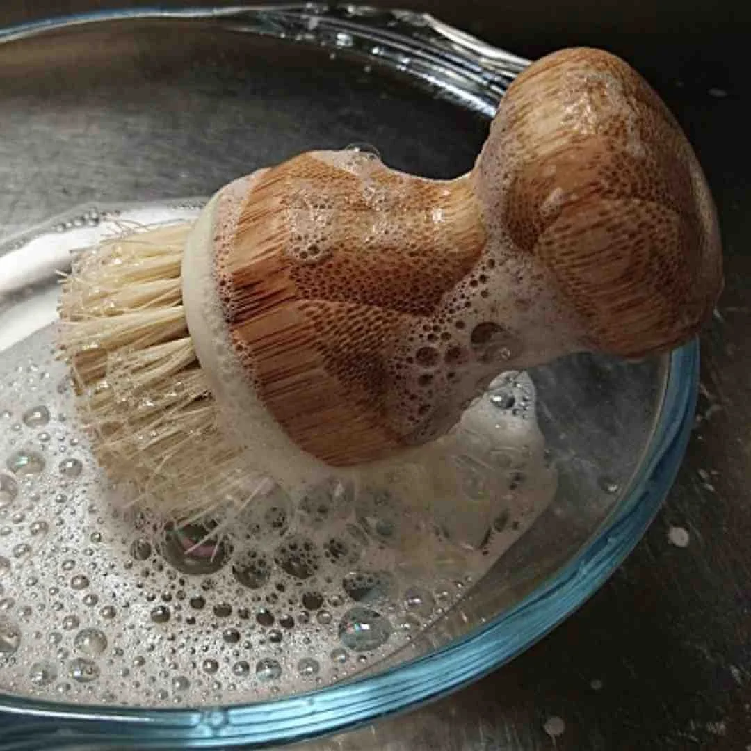 20+ Sustainable Alternatives to a Plastic Dish Sponge — Sustainably Lazy