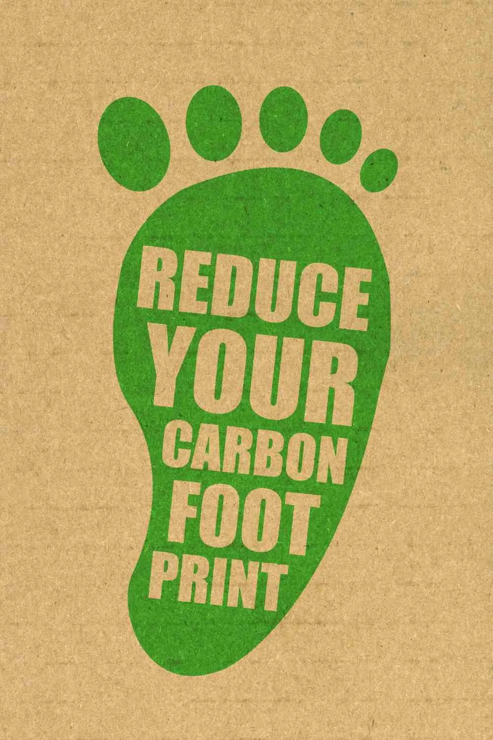 3 Ways To Begin A Sustainable + Eco-friendly Lifestyle — Sustainably Lazy