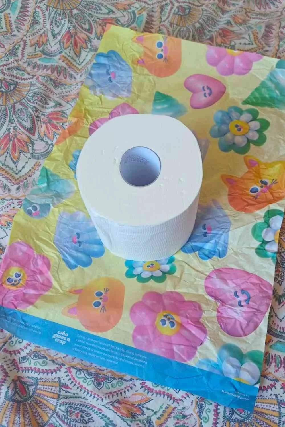 How Sustainable is Who Gives A Crap? A Detailed Review of Eco Toilet ...