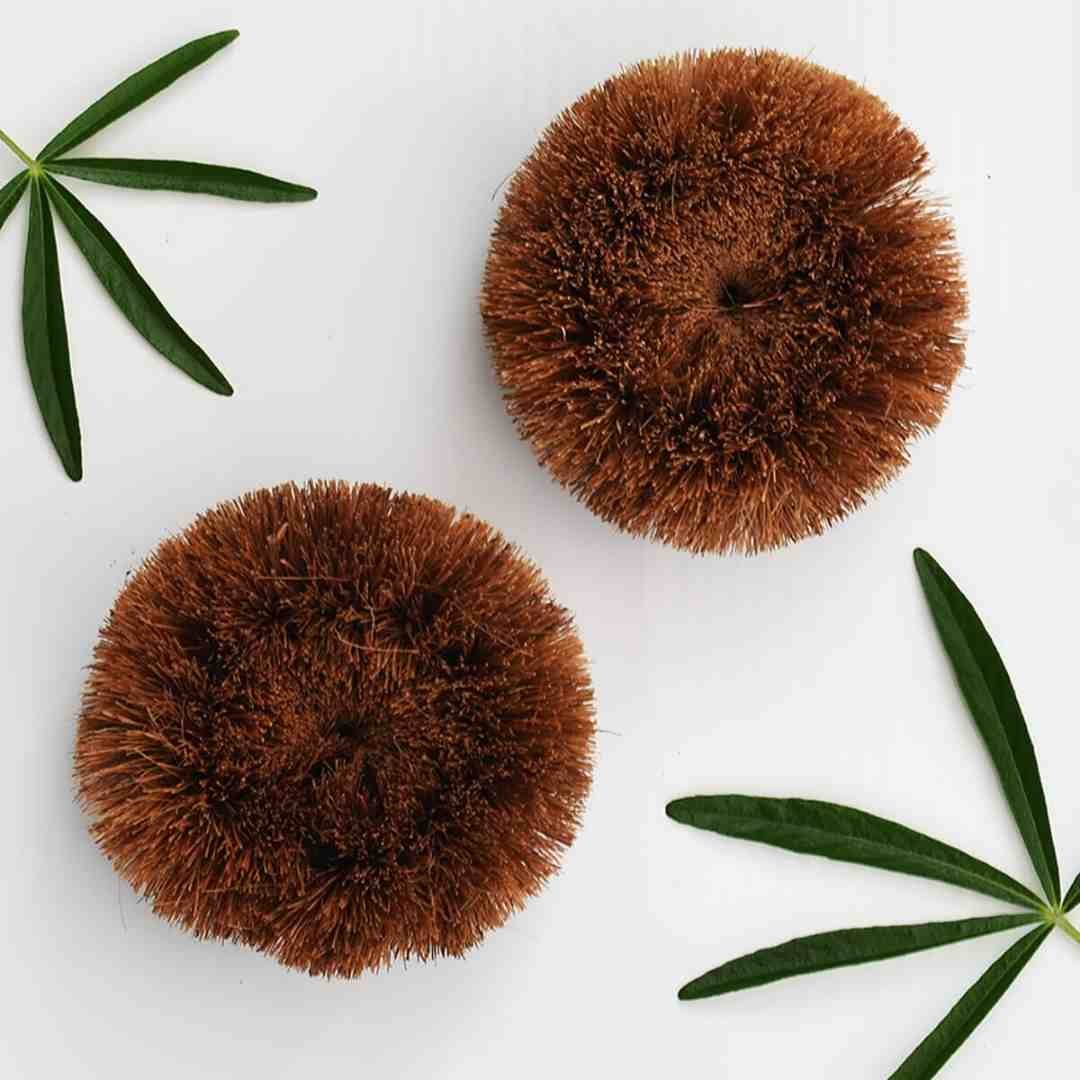 20+ Sustainable Alternatives to a Plastic Dish Sponge — Sustainably Lazy