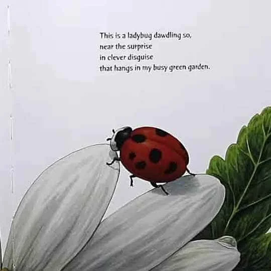 13 Baby + Toddler Books About Spring That Are Montessori-Friendly ...