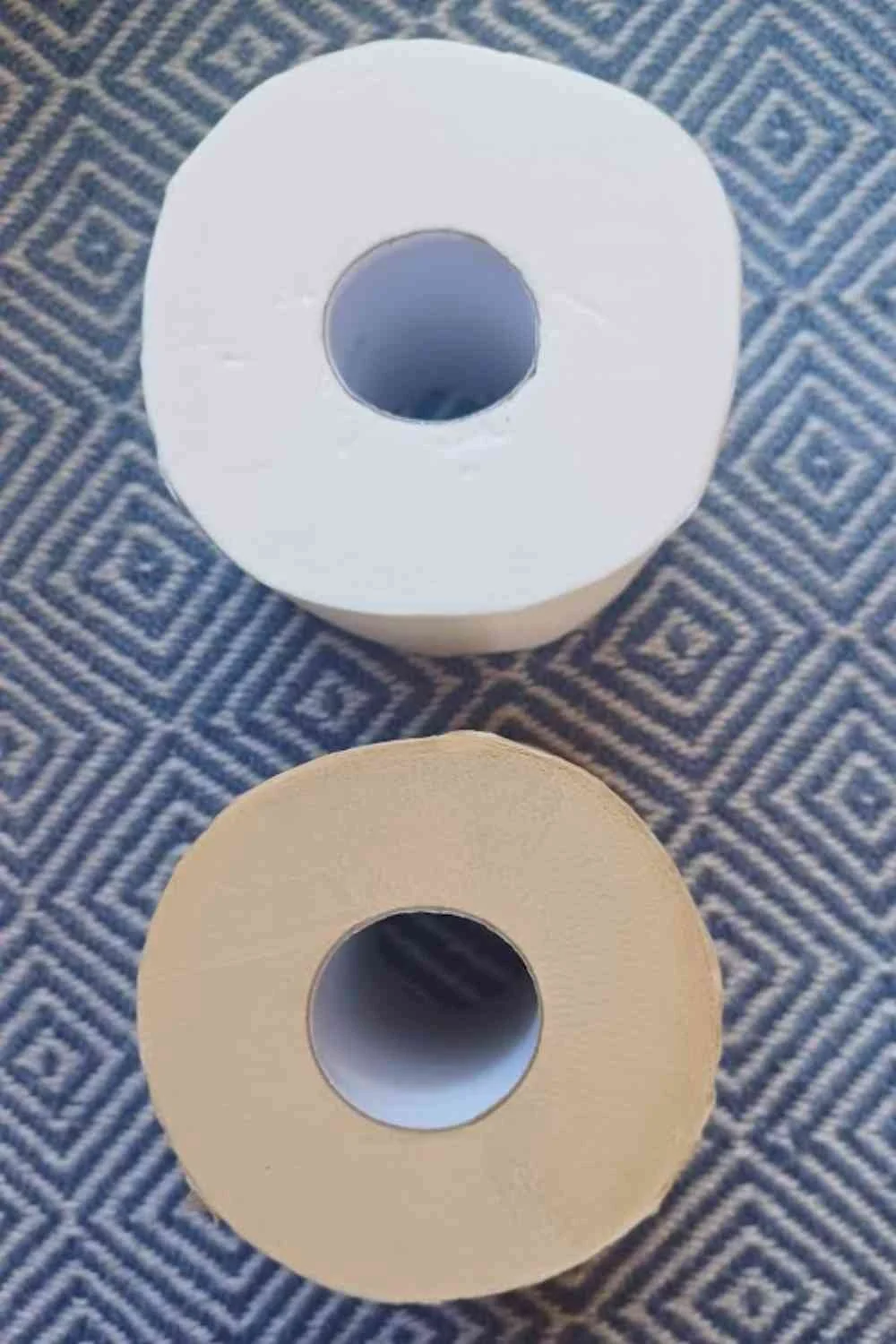 How Sustainable is Who Gives A Crap? A Detailed Review of Eco Toilet ...