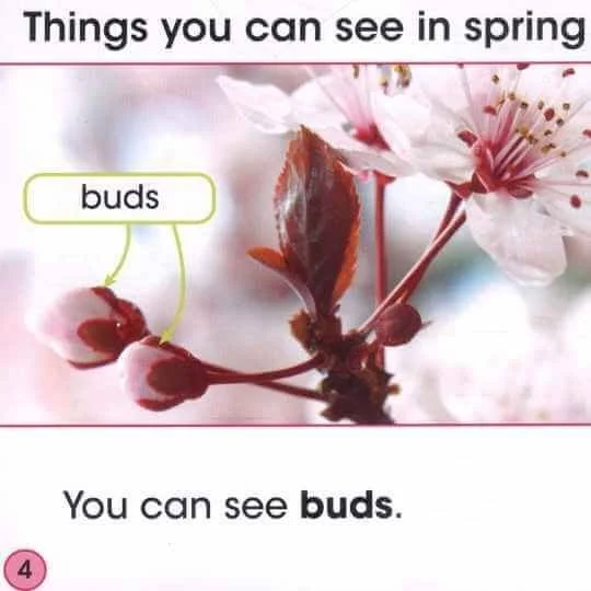 13 Baby + Toddler Books About Spring That Are Montessori-Friendly ...