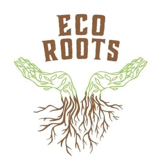 25 Ethical + Sustainable Alternatives to Amazon (Worldwide ...