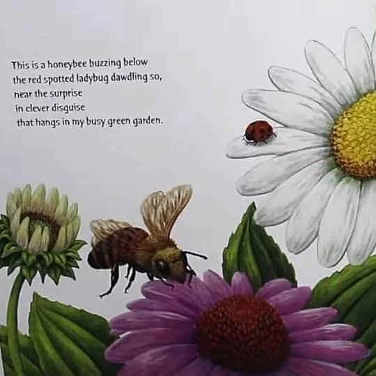 13 Baby + Toddler Books About Spring That Are Montessori-Friendly ...