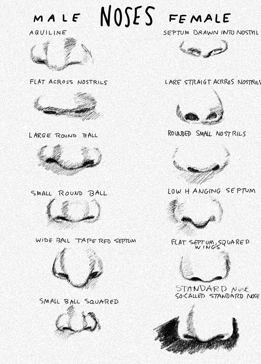Female Nose Reference
