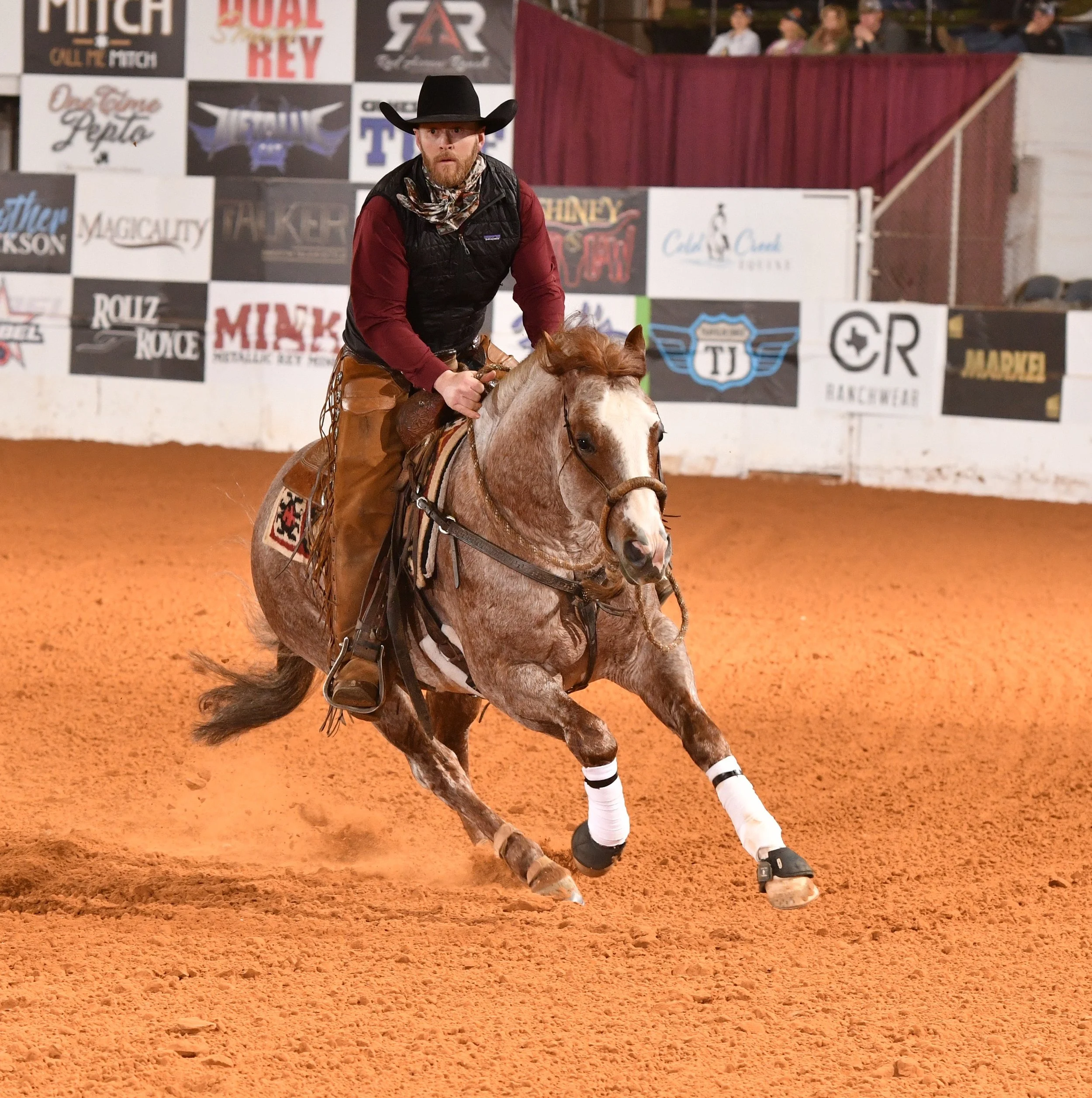 Stallions — Jesperson Horses