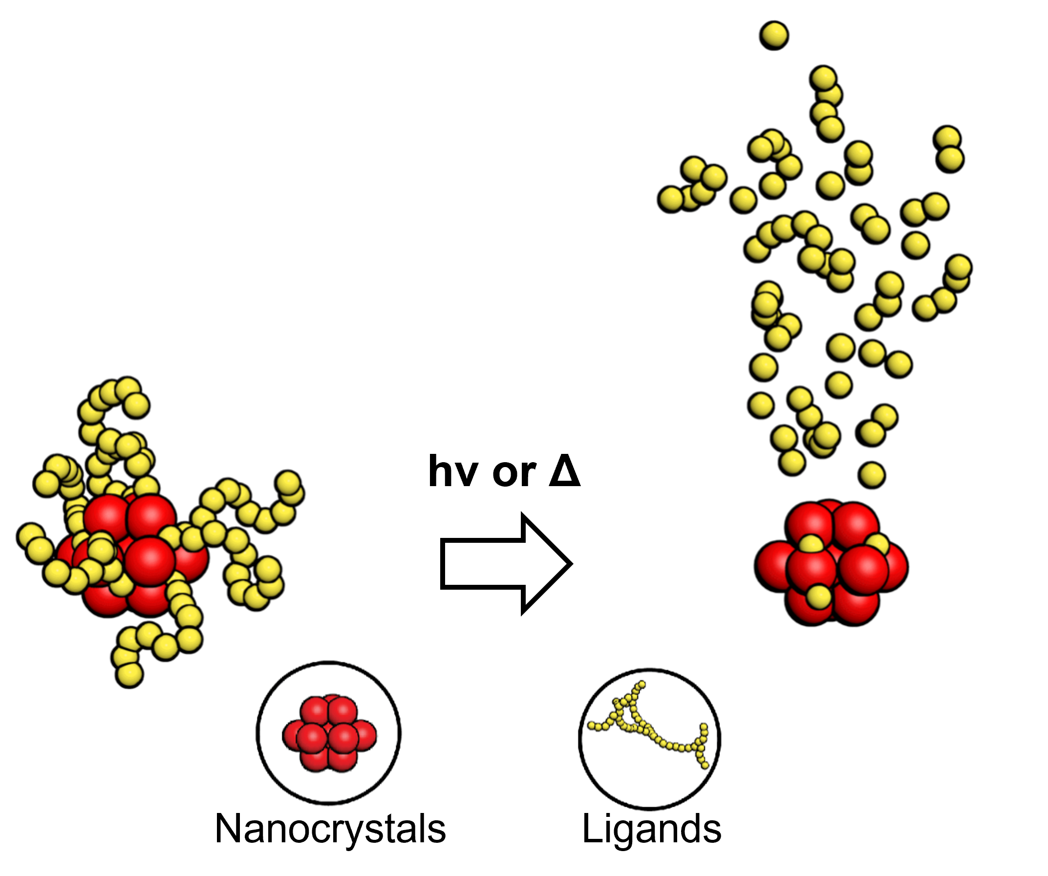 NanoPattern Technologies, Inc.