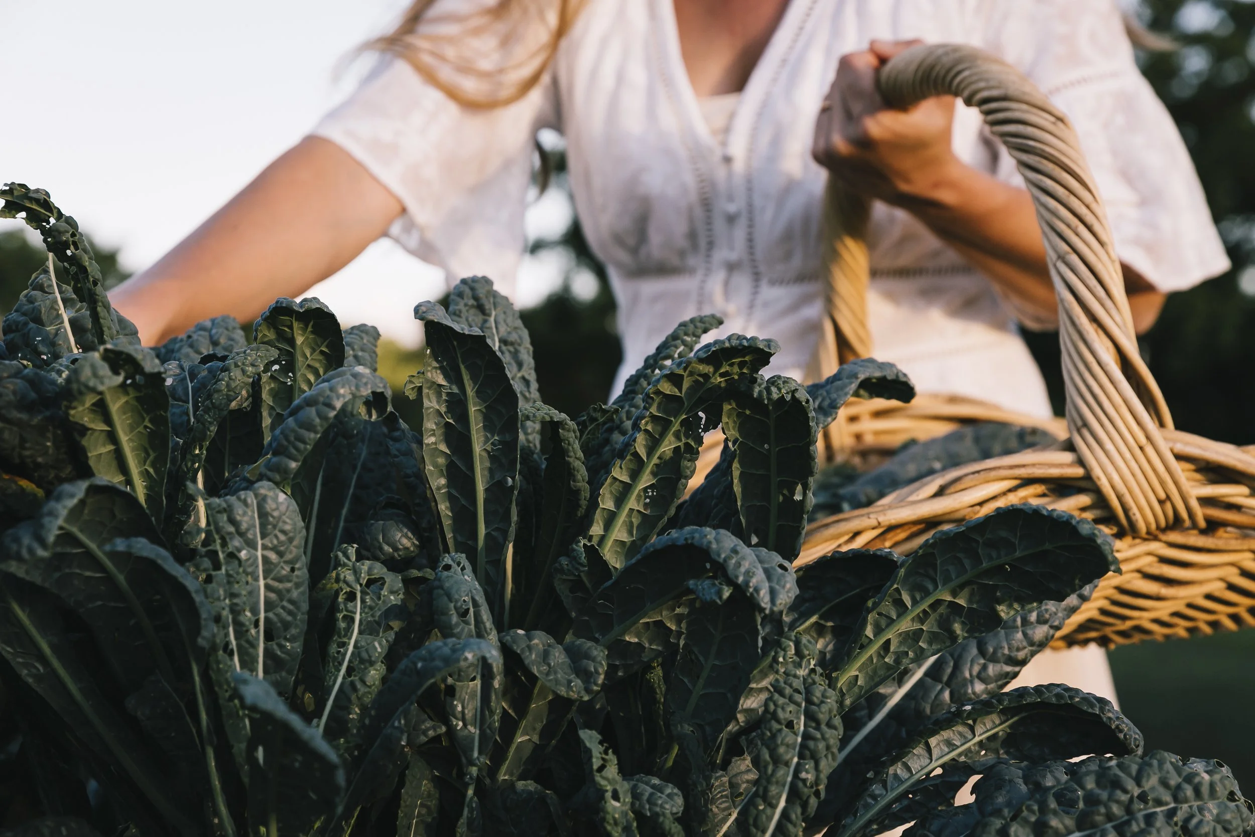 Byron Bay Restaurant — Frida's Field Byron Bay Restaurant, Wedding ...