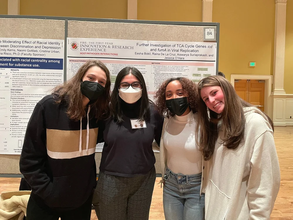 Photos — Linda X. Zou