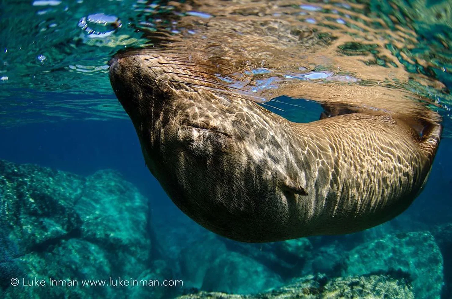 Behind The Lens: Luke Inman — The Marine Diaries