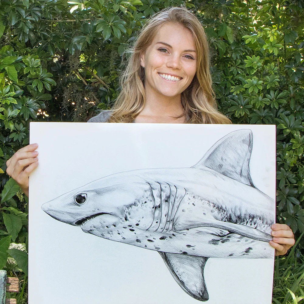 7 Ocean Artists Turning Sharks into Art — The Marine Diaries