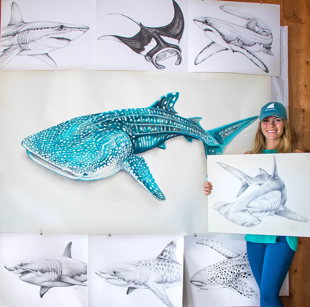 7 Ocean Artists Turning Sharks into Art — The Marine Diaries