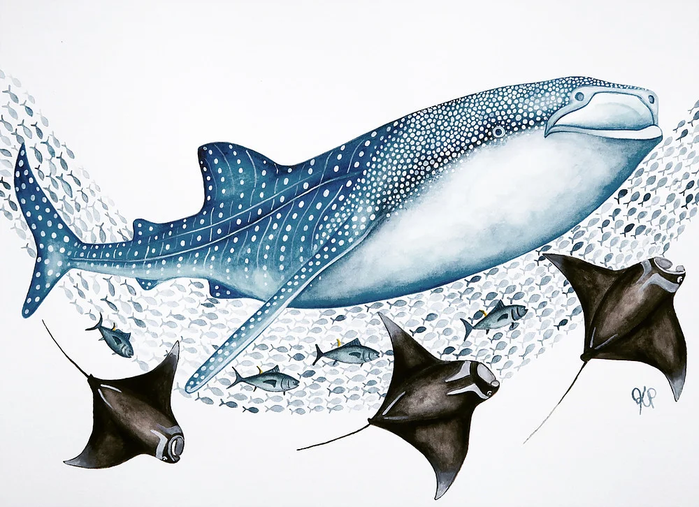 Shark Realistic Painter