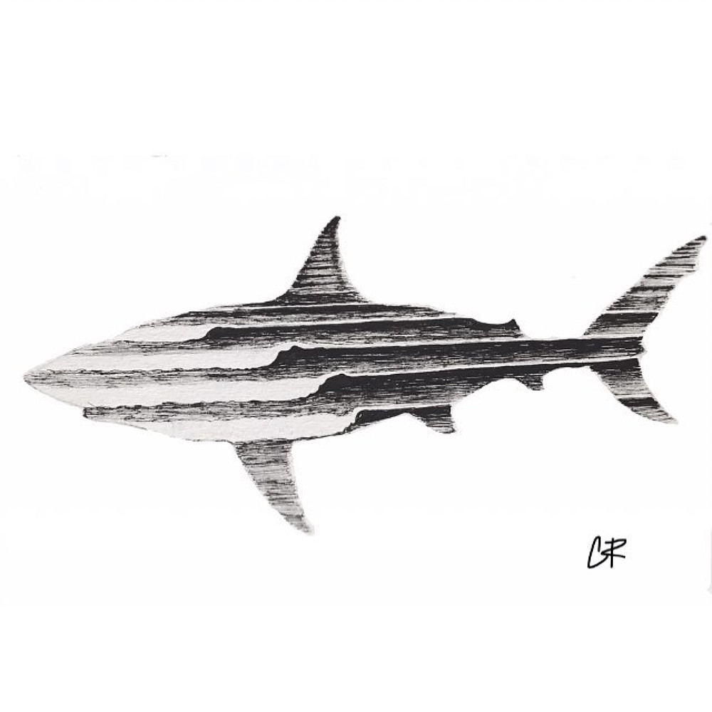 7 Ocean Artists Turning Sharks into Art — The Marine Diaries