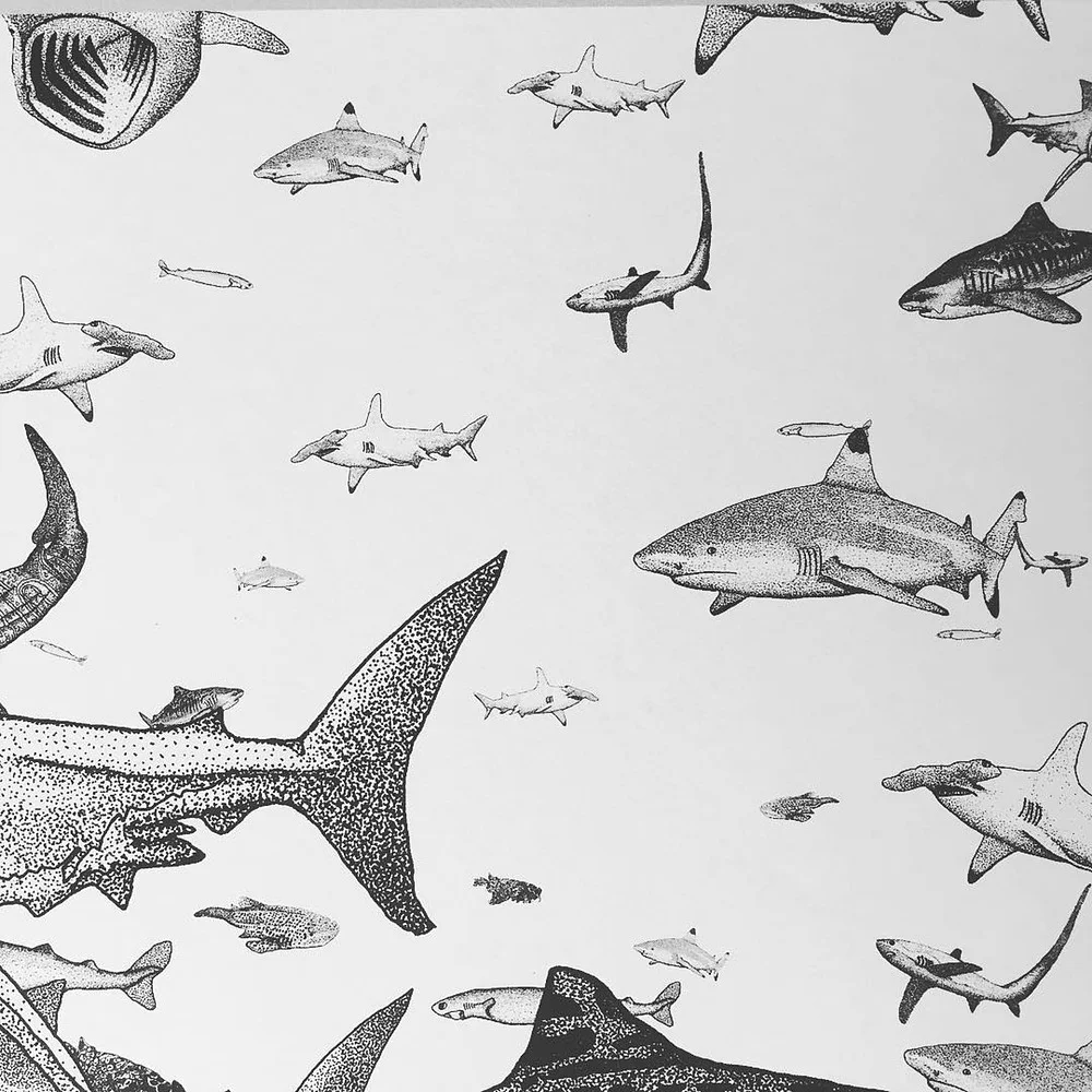 7 Ocean Artists Turning Sharks into Art — The Marine Diaries