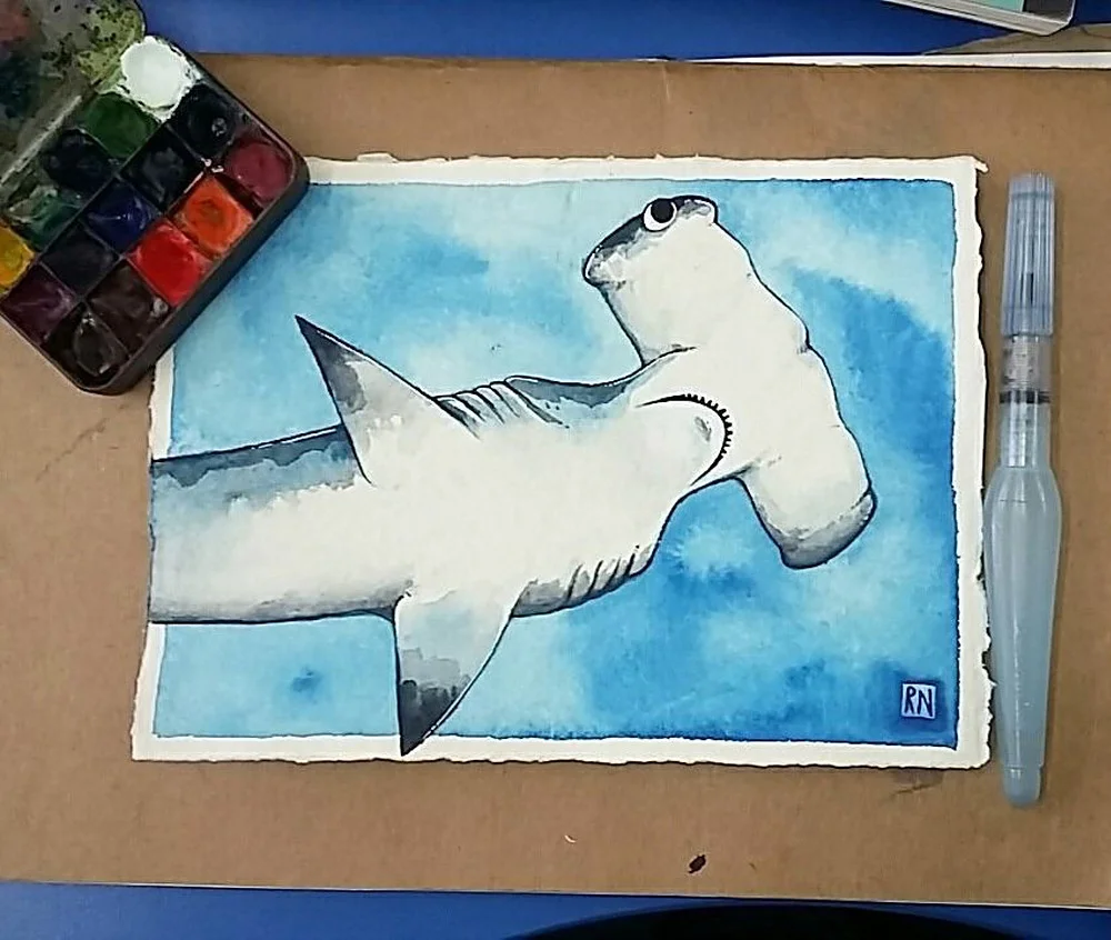 7 Ocean Artists Turning Sharks into Art — The Marine Diaries