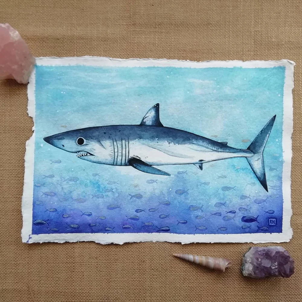 7 Ocean Artists Turning Sharks into Art — The Marine Diaries