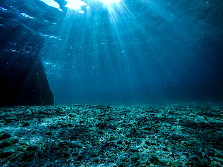 5 Ways you can Help the Ocean — The Marine Diaries