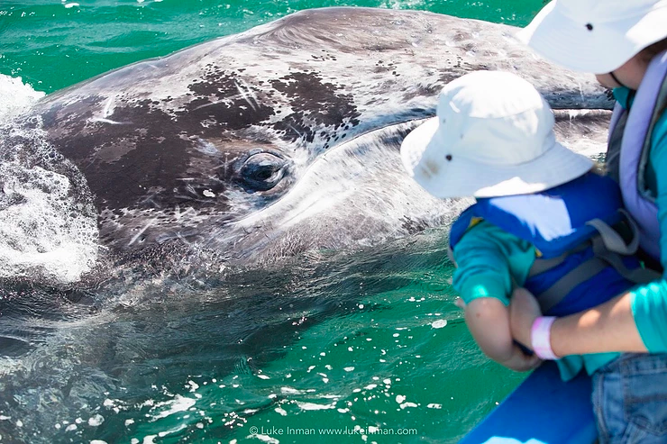 Behind The Lens: Luke Inman — The Marine Diaries
