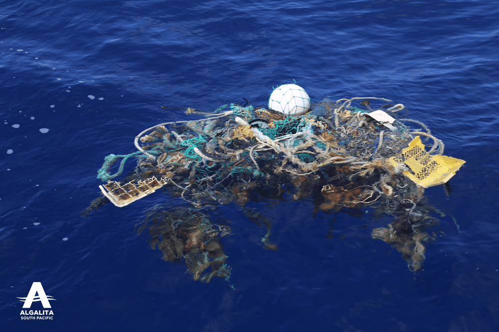 20 Years Sailing Through the Great Pacific Garbage Patch — The Marine ...