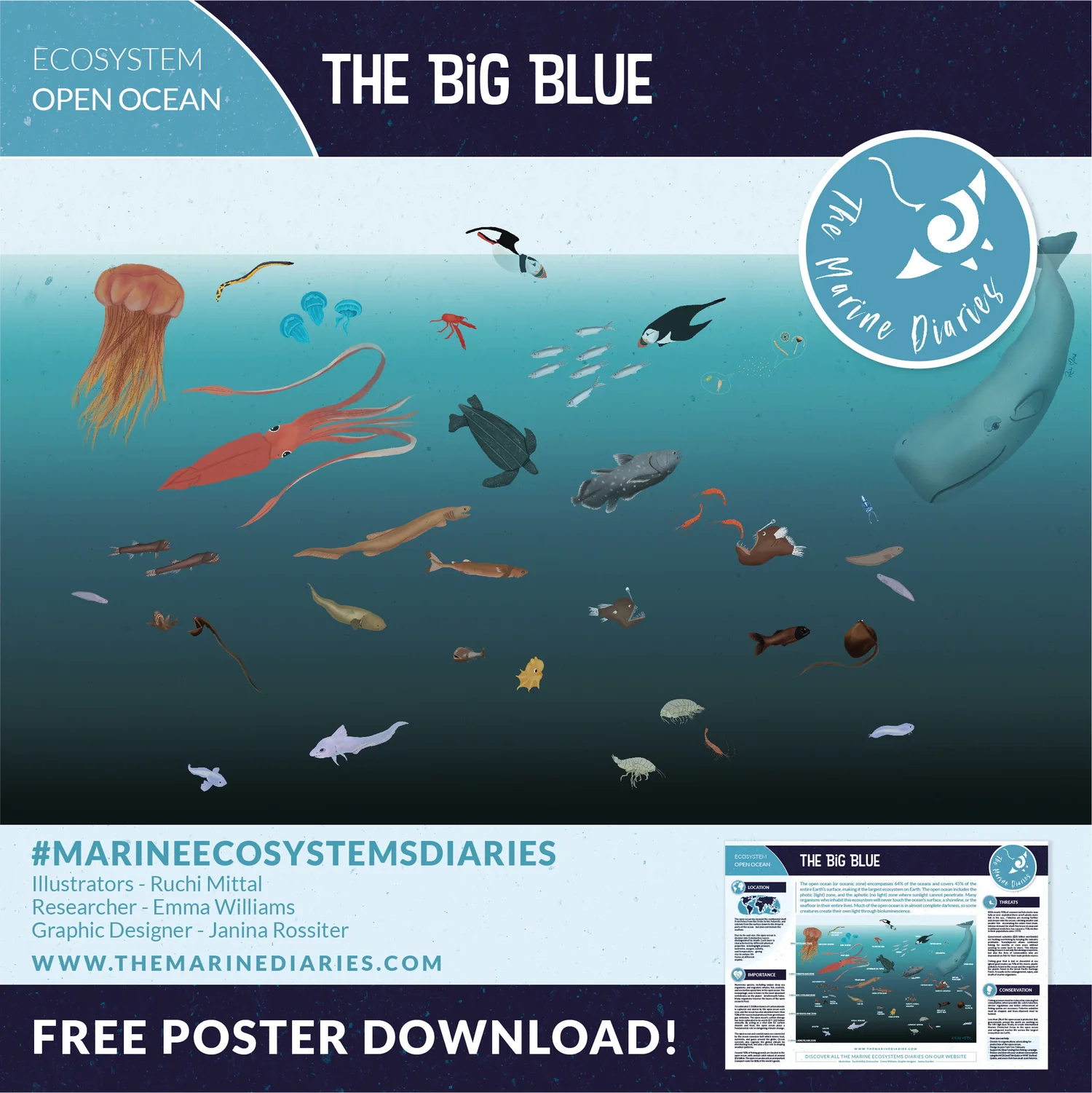 Open Ocean Poster Download