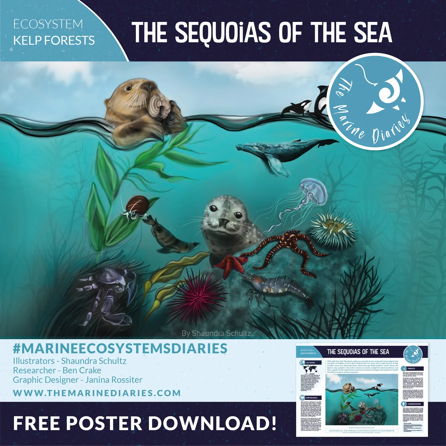 Kelp Forests Poster Download
