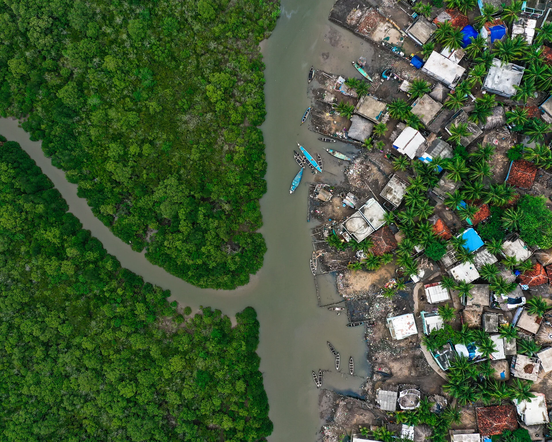 Mangrove Ecosystem Services Frontiers | Flow Of Mangrove Ecosystem