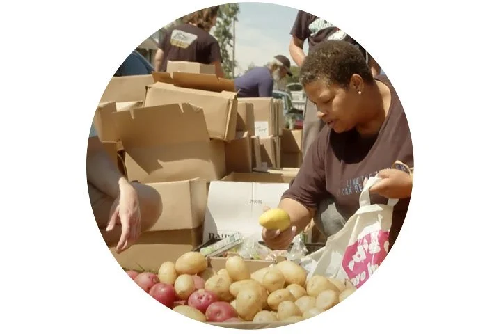 Project FOOD OUTREACH — Greenhouse Project