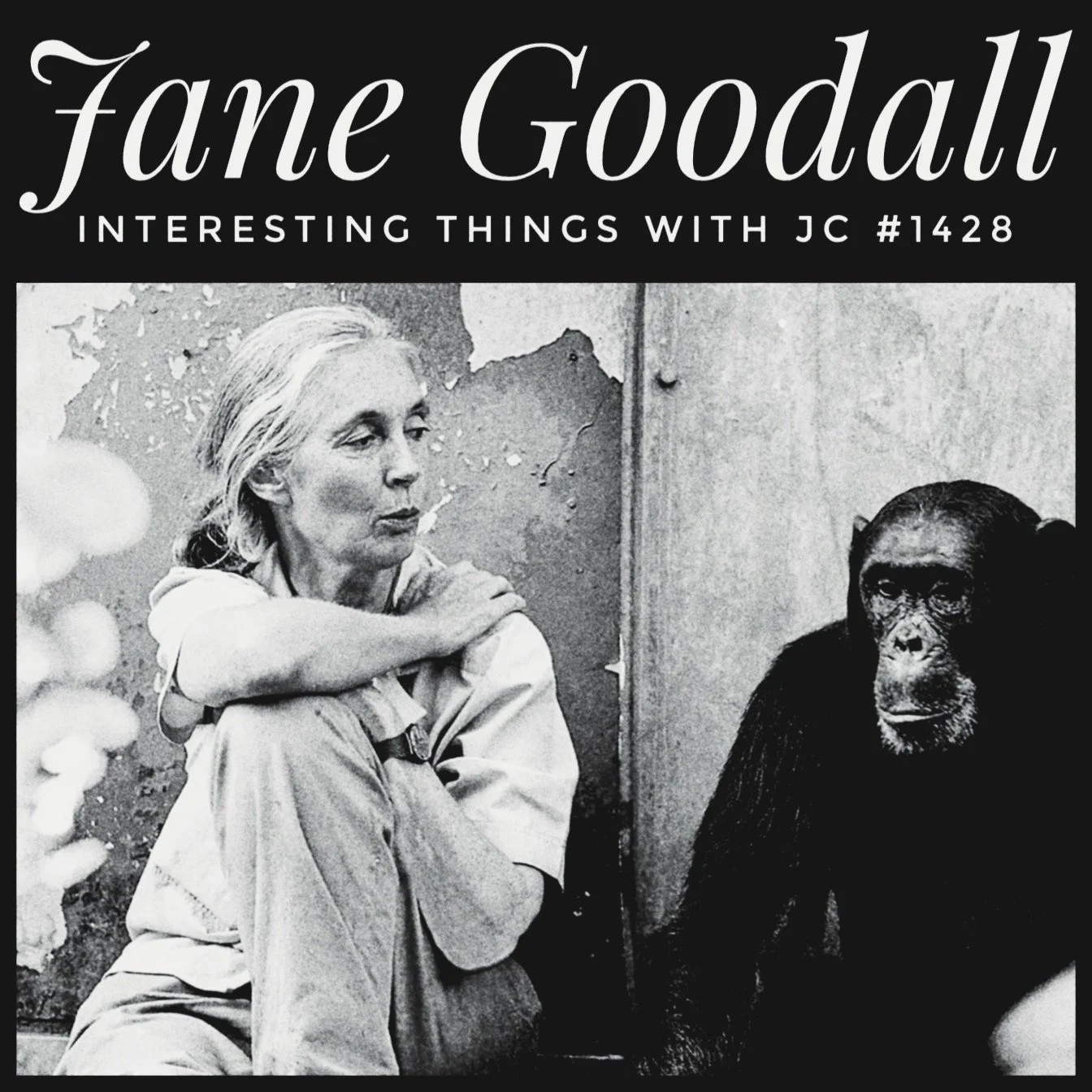 1428: "Jane Goodall" — JC