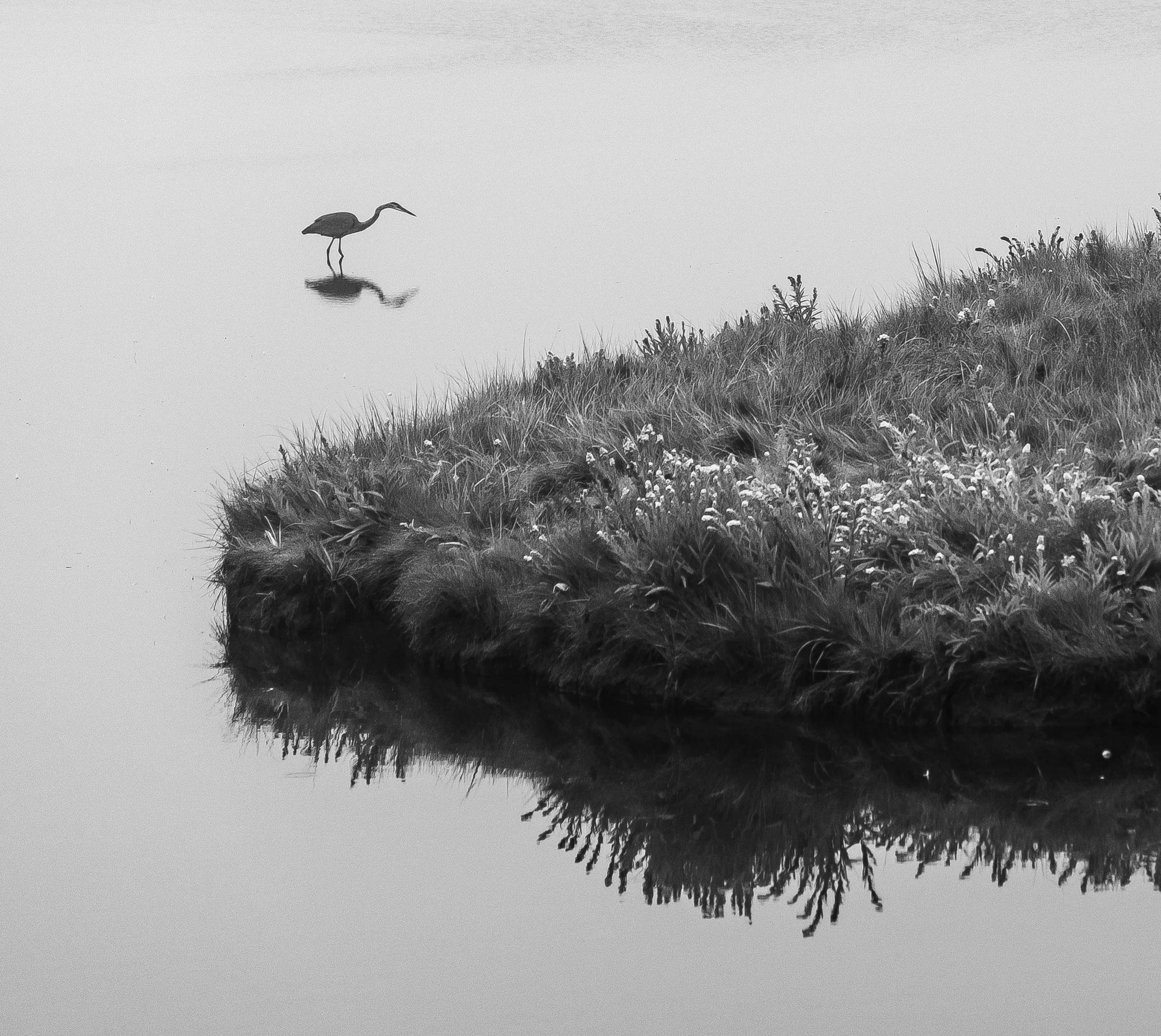 On-the-Water — Ray Schneider