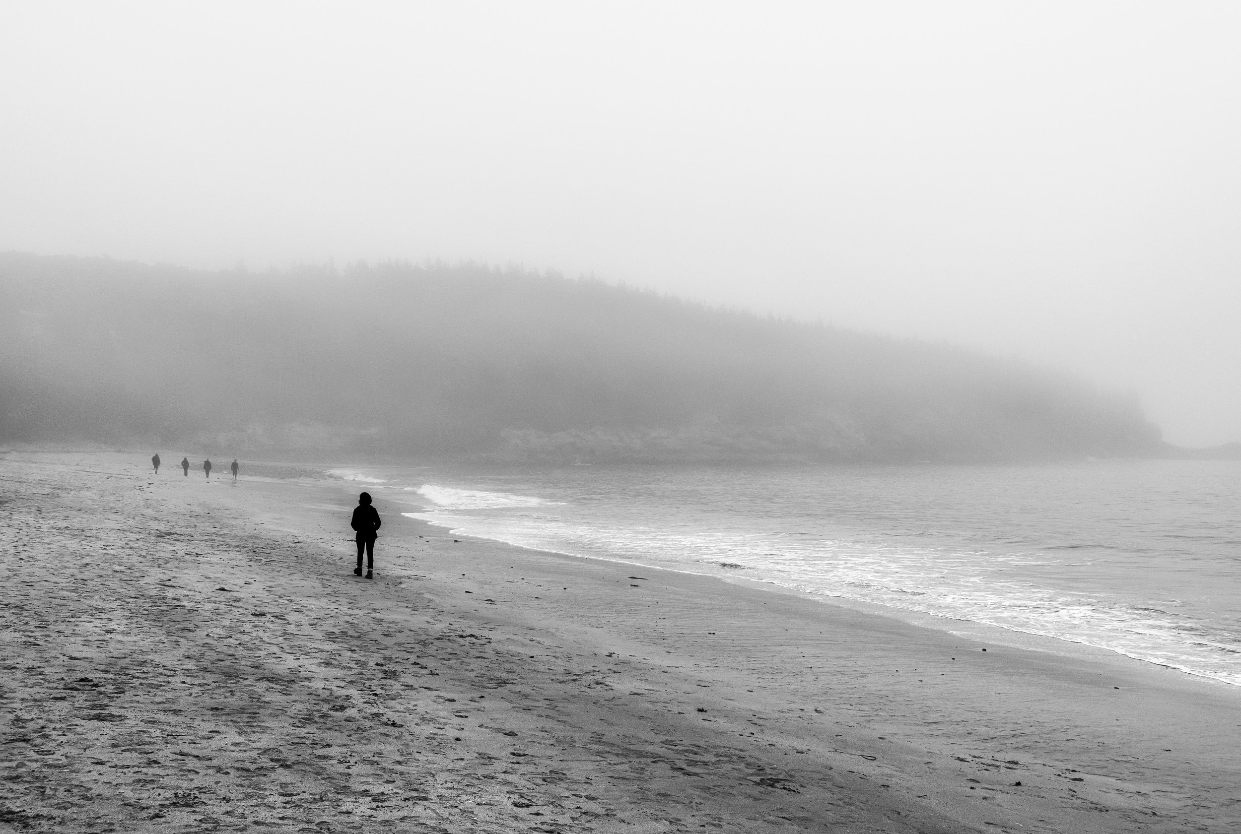 On-the-Water — Ray Schneider