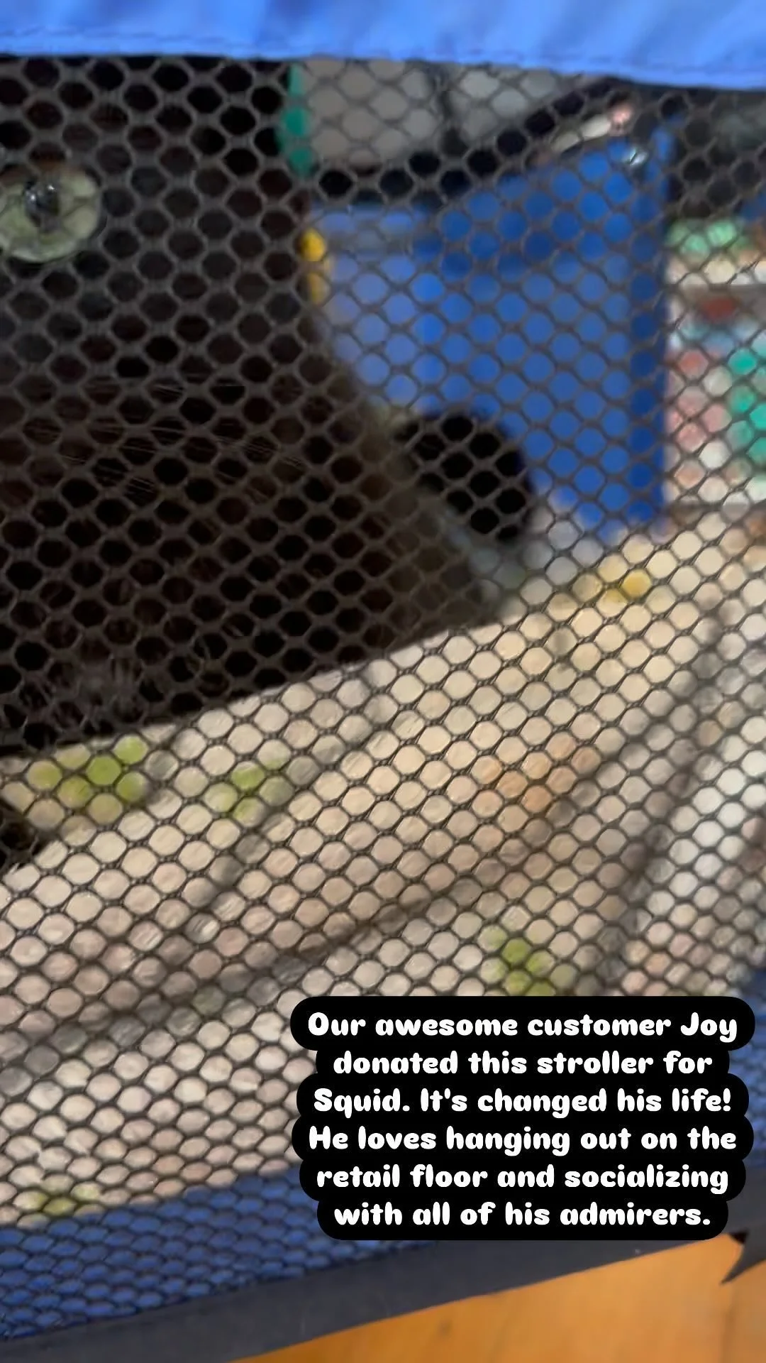 Dog River Pet Supplies