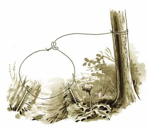 Lesson 32: Snares of Satan — The Great Controversy Made Easy