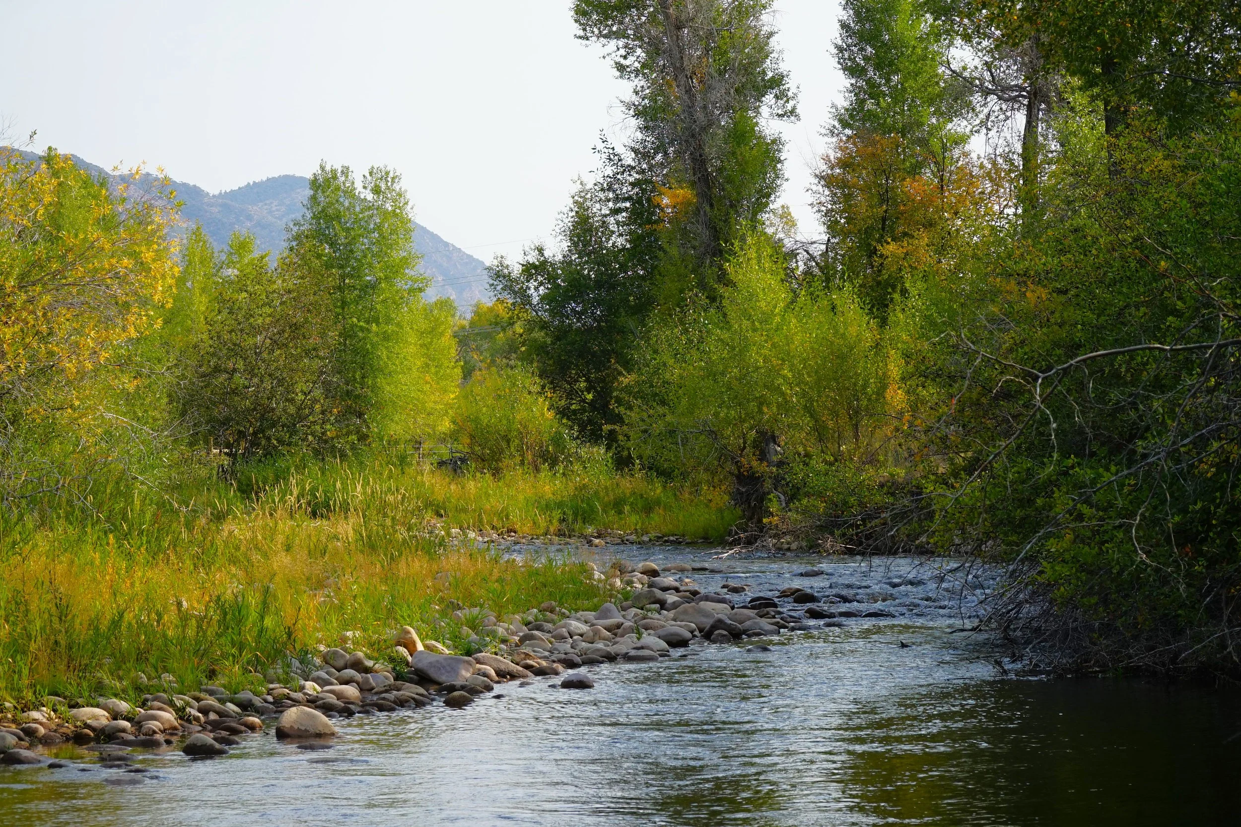 What We Do — SUMMIT LAND CONSERVANCY